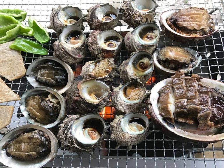Eat Iwagaki oyster & Sazae Turban shell in the best season | KOMOREBITO ...